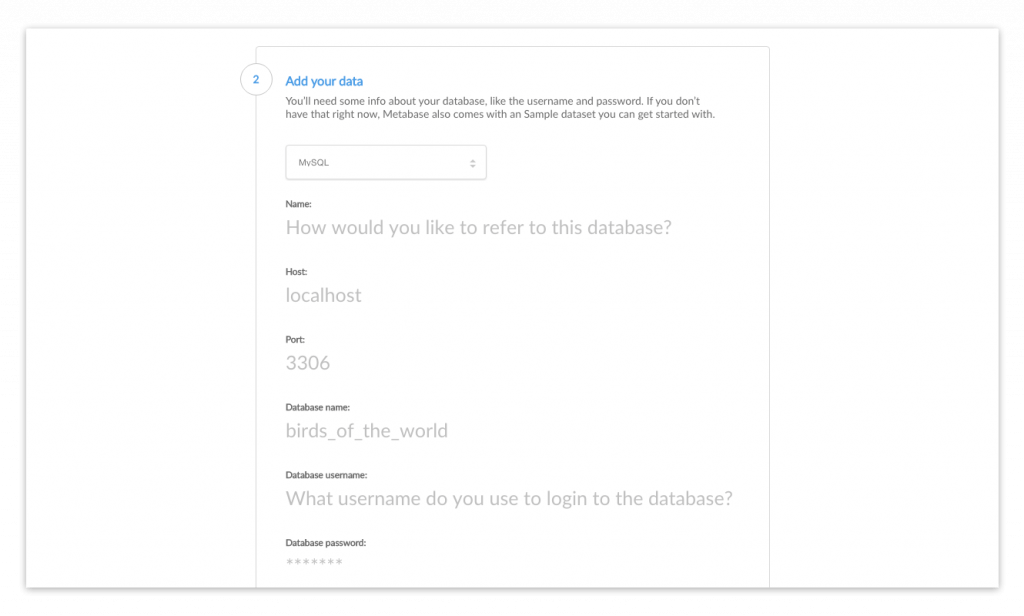 Learn how Metabase can make your data more beautiful - Spritle software