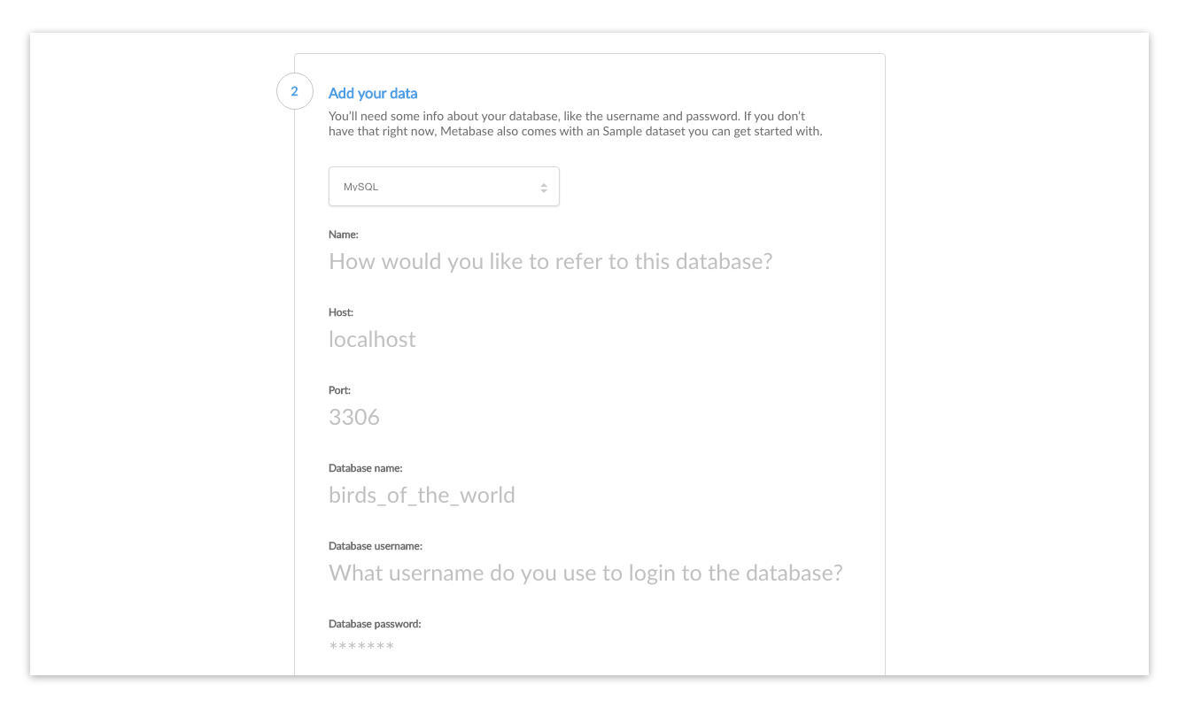 Learn how Metabase can make your data more beautiful - Spritle software